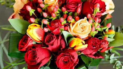 Cserepes Virágok Farkasréti Virág Wolt