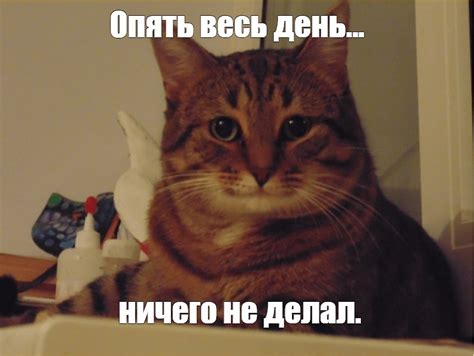 Мем Опять весь день ничего не делал Все шаблоны Meme arsenal