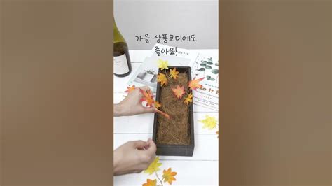 가을조화 단풍잎 1봉지 36개 인조단풍 조화잎 인조나뭇잎 Youtube