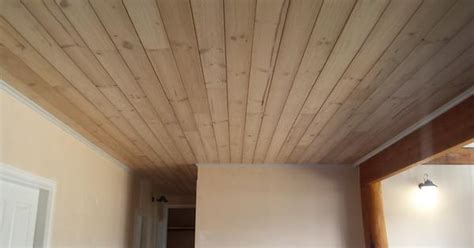 Tounge And Grove Ceiling I Hated This Job But Gott Her Done Album On