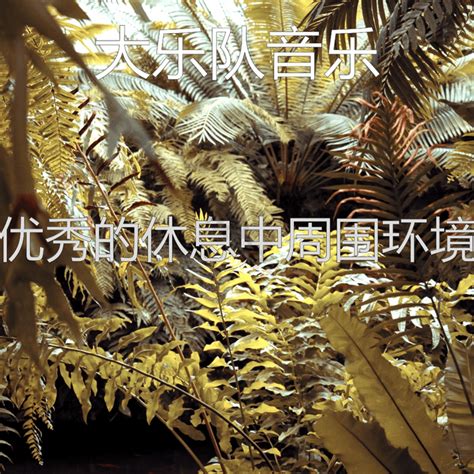 Quiet Processing Sound Music Mp3 Template Free Download Pikbest