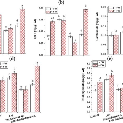 A Effect Of Trichoderma Sp Inoculation And Fw Application On Am Fungal