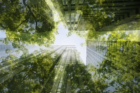 Introducing The Latest Esg Innovations With Microsoft Cloud For