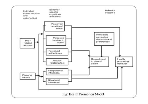 Health Promotion Model Pdf