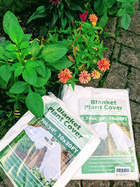 diy frost protection for plants 5 ways to save your plants bunny s