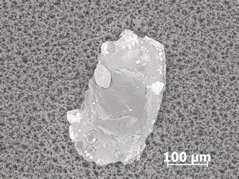 Zeiss Nanoscale And Correlative Analysis