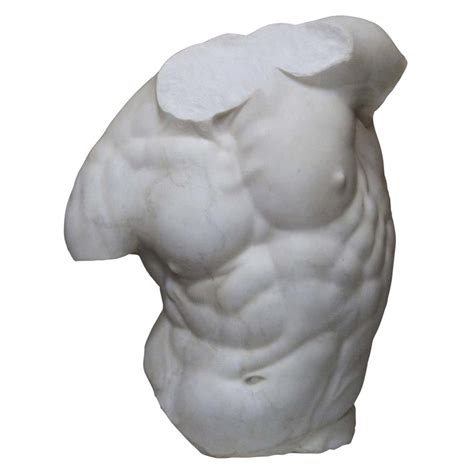 Large Male Torso Bust Statue 17 3 Inches 44 Cm Torso Bust Etsy Artofit