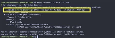 Installing And Configuring Fail Ban On Ubuntu It