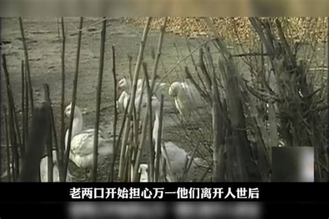 农村小伙患精神病，父母用铁链囚禁15年，开锁后众人疑惑！