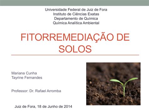 Fitorremediação De Solos