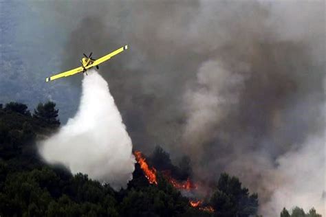Se Duplican Incendios Forestales En El Mundo En 20 Años La Prensa De