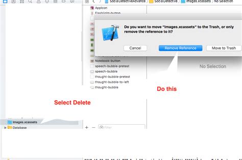 Ios How To Resolve Failed To Read File Attributes For Userspathmyappimagesxcassets In