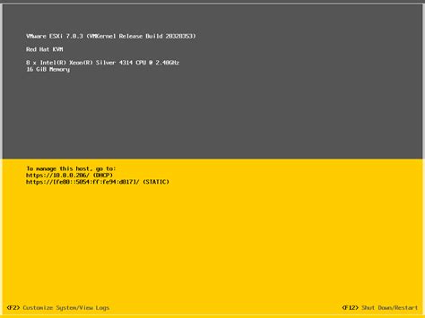 VMware ESXi Install Server World