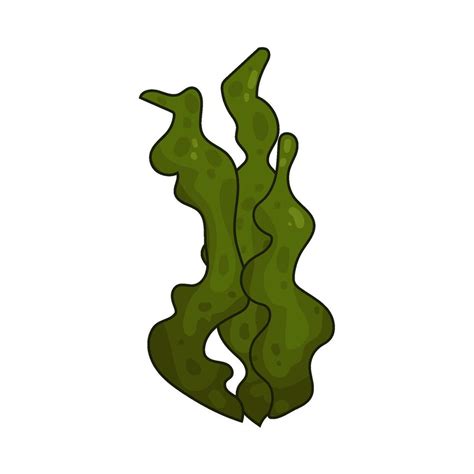 Illustration Of Seaweed 48688133 Vector Art At Vecteezy