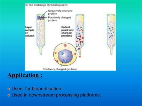 Solvent Extraction And Separation Tech Ppt Pptx