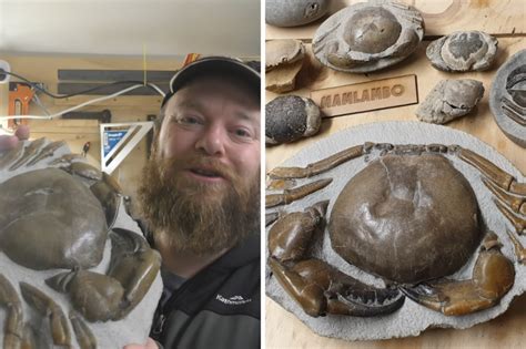 Man Finds A 50 Pound Crab Fossil Concretion Spends Over 200 Hours