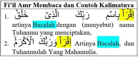 Fiil Amr Membaca Dan Contoh Kalimatnya ⋆