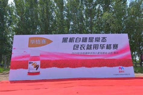 2020年苗博士种衣剂毕格赛小麦包衣观摩会在山东惠民隆重举行 搜狐大视野 搜狐新闻