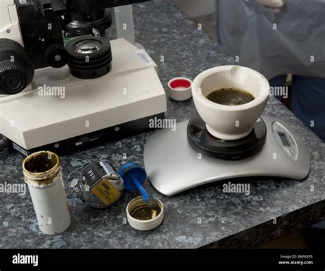 Fecal Egg Count Infestation Laboritory Microscope Parasites Sheep