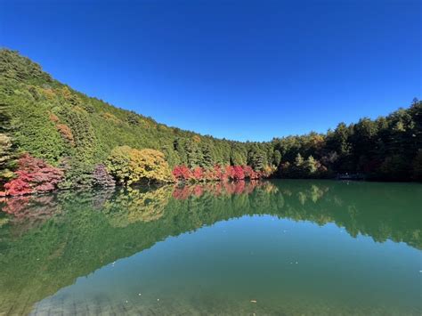 【伊奈ヶ湖 紅葉祭】1113開催 一般社団法人 南アルプス市観光協会