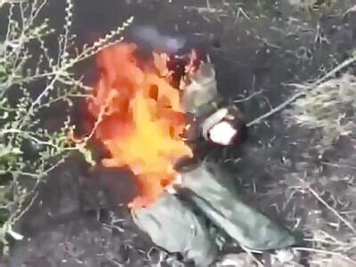 Search Results For Fire Page 1