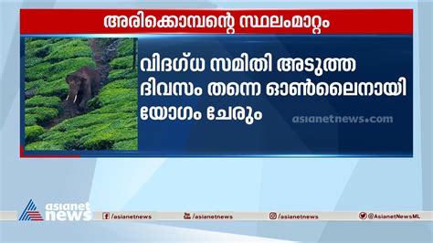 അരിക്കൊമ്പനെ മാറ്റുന്നത് നീളും ഇന്നത്തെ വിദ ഗ്ധ സമിതിയോ ഗം മാറ്റി