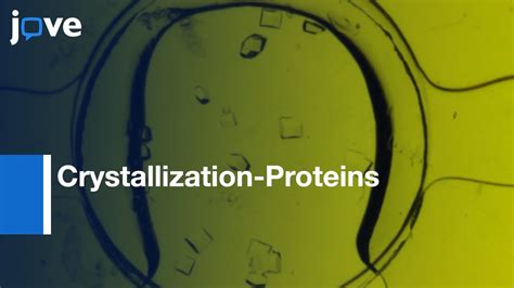 Crystallization Proteins On Chip By Microdialysis X Ray Diffraction