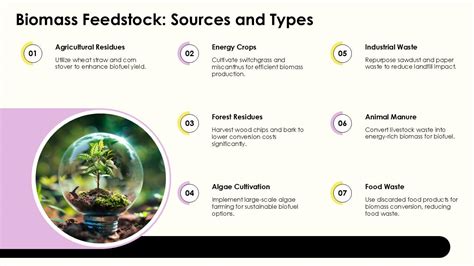 Biomass Feedstock Sources And Types Nanocatalyst Ppt Demonstration Acp