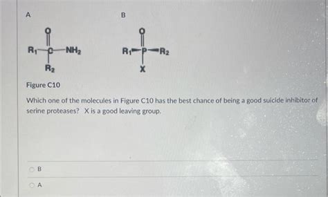 Solved In Enzyme Catalysis The Proximity Effect Refers To