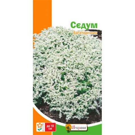Седум (72541): купить семена почтой в Украине | интернет-магазин GradinaMax