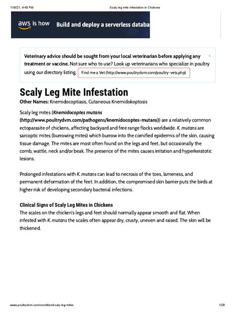 Scaly Leg Mite Infestation In Chickens Pdf Chicken Poultry