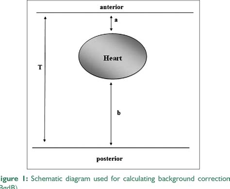 Figure 1 From Estimation Of Organ Activity Using Four Different Methods Of Background Correction