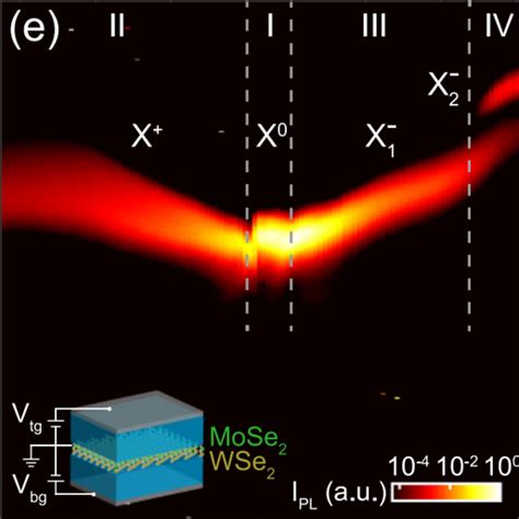 Publication Electrically Controlled Emission From Singlet And Triplet Exciton Species In
