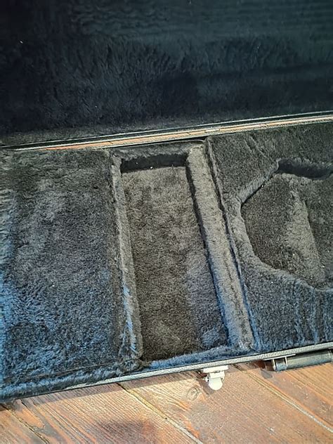 Esp Ltd Electric Guitar Case Reverb