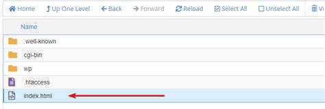 How To Use File Manager In CPanel Hostwinds