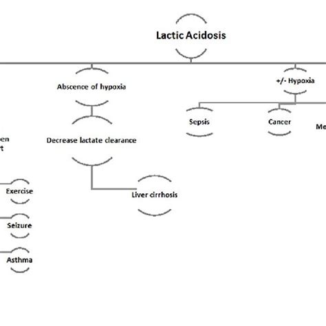 General Scheme Of Causes Of Lactic Acidosis Download Scientific Diagram