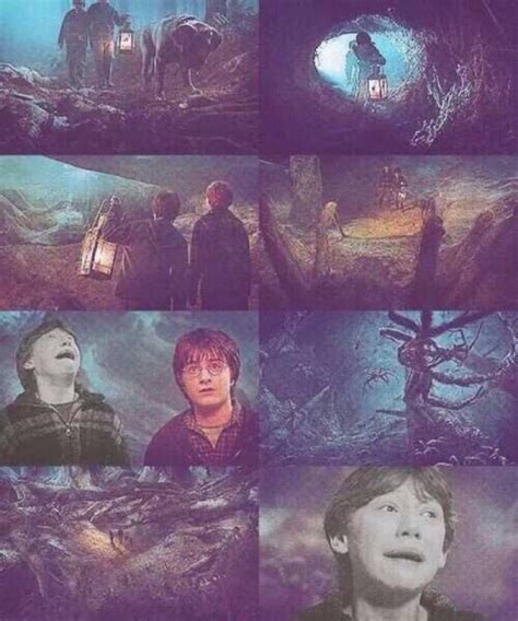 Harry Potter Universe On Twitter Rt Hpotteruniverse May