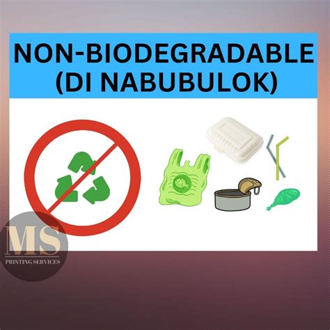 Biodegradable Non Biodegradable Hazardous Recyclable Trash Bins