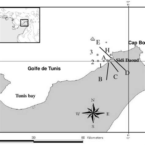 Map Of The Investigated Area With Location Of The Nine Sampling Sites