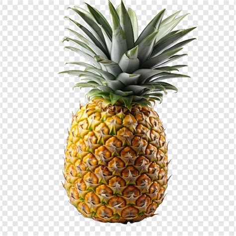 Isolate Pineapple Style Png With White Background Minimalist Generative