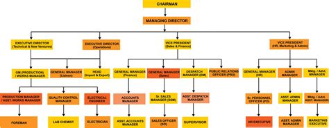 Managementtree Chart1 Amman Try