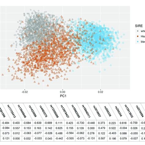 Principal Component Analysis Based On Ancestry Informative Markers Download Scientific