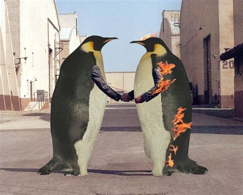 Image Birds With Arms Know Your Meme
