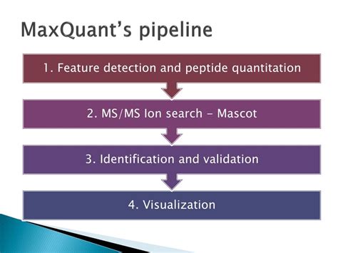 Ppt Maxquant Enables High Peptide Identification Rates Individualized Ppb Range Mass Ppt Maxquant Enables High Peptide Identification Rates Individualized Ppb Range Mass