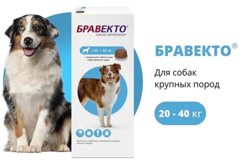 Антипаразитарное средство для животных - купить с доставкой по выгодным ...