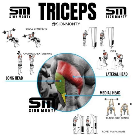 Sion Monty 🏴󠁧󠁢󠁷󠁬󠁳󠁿 On Instagram Target All Tricep Heads With These