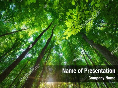 Forest Ppt Template Anatomy Drawing Lessons