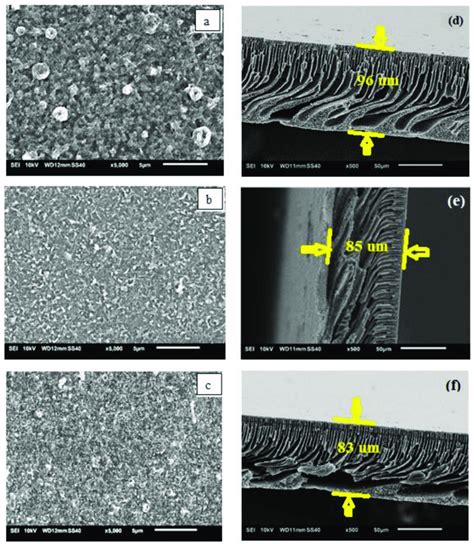 Scanning Electronic Micrography Sem Top Surfaces A C And Their