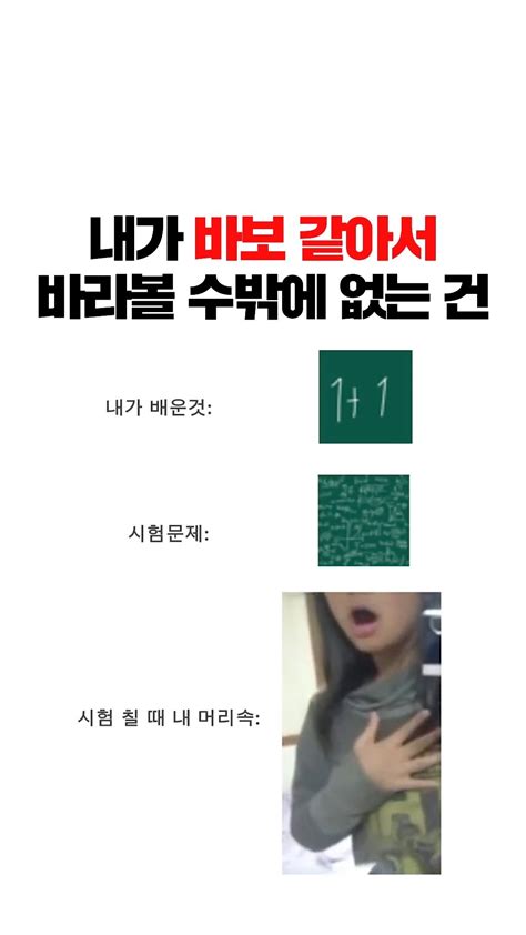 짤폭탄 영고짤ㅋㅋㅋㅋㅋㅋ 유머 개그 소름 웃긴짤 짤방 웃긴영상 웃김 웃긴글 폭소 웃짤