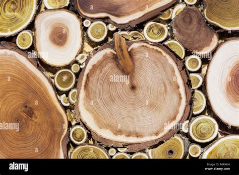 Sections Of The Trunks Of Various Tree Species Abstract Background Stock Photo Alamy